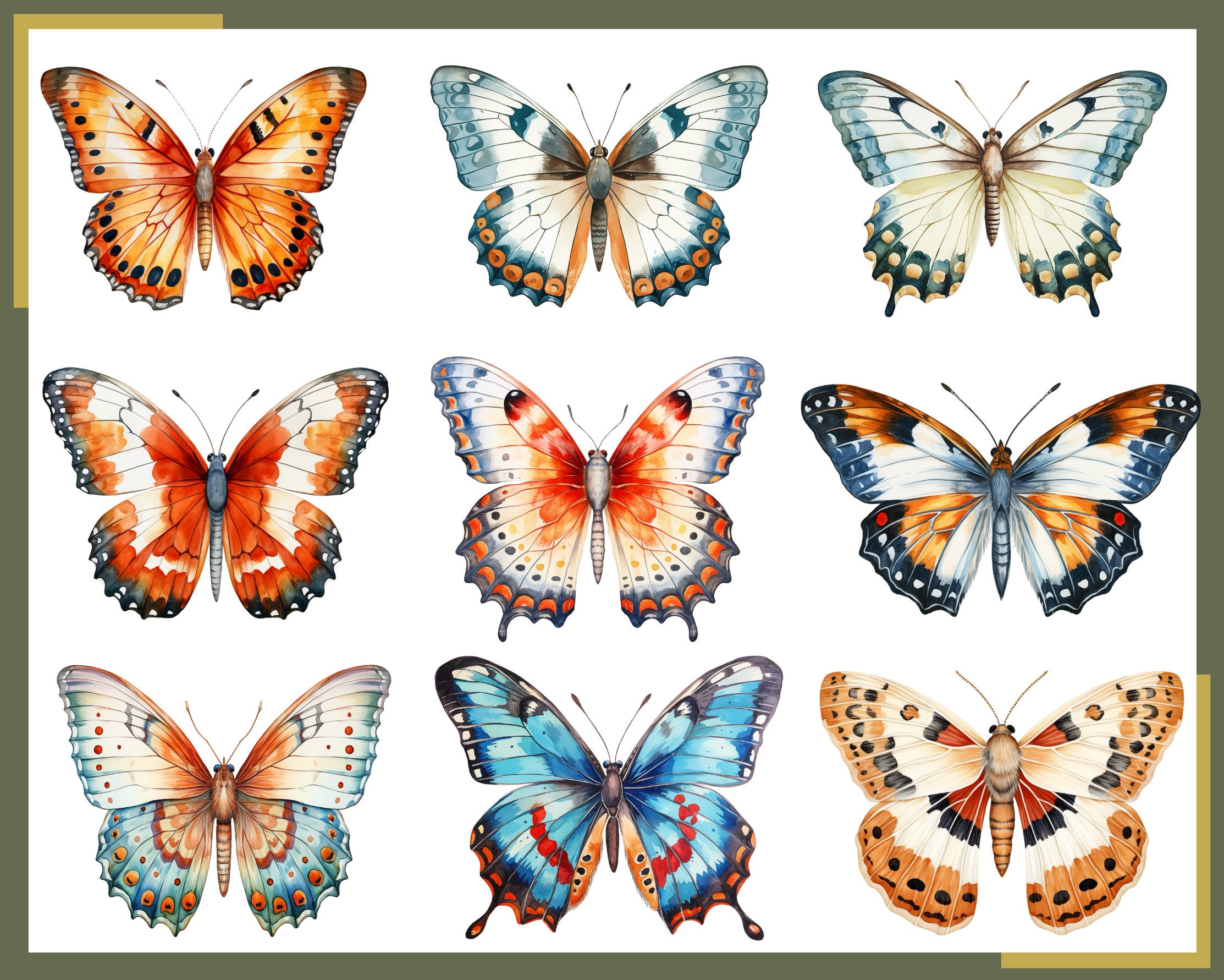 Watercolor Insect Clipart: 100 Bug Graphics (PNG) - Etsy