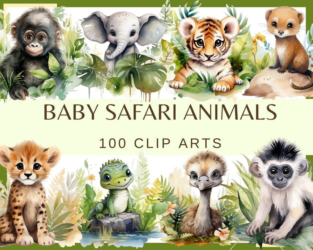 Baby Safari Animals Clip Art: 100 PNG Jungle Graphics (digital Download ...