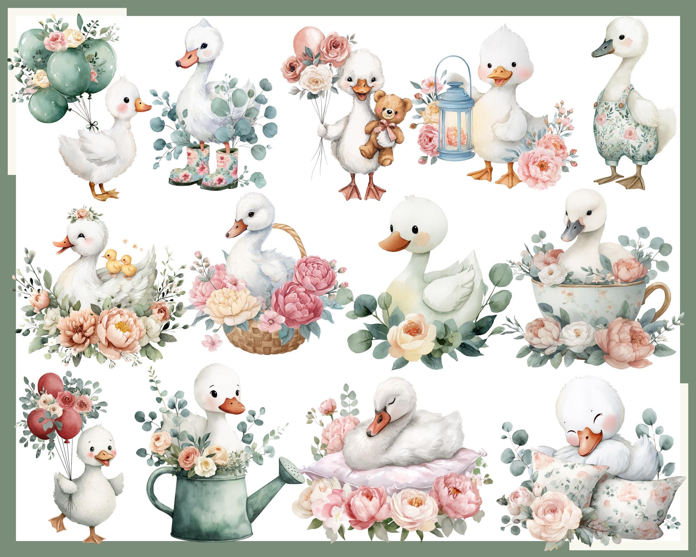 Watercolor Baby Swan Clipart | 110 PNG Images 300 DPI (blush Pink Roses ...