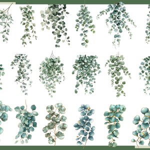 Eucalyptus Clipart Bundle: Watercolor Greenery, Floral PNG (140 Files ...