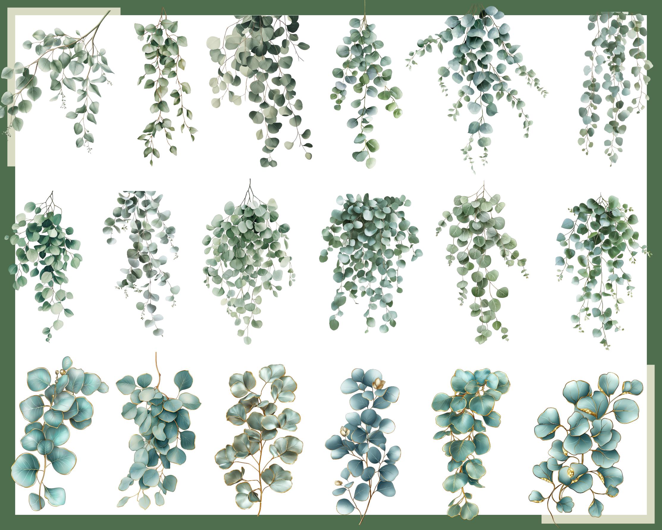 Eucalyptus Clipart Bundle: Watercolor Greenery, Floral PNG (140 Files ...