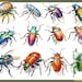 Watercolor Insect Clipart: 100 Bug Graphics (PNG) - Etsy