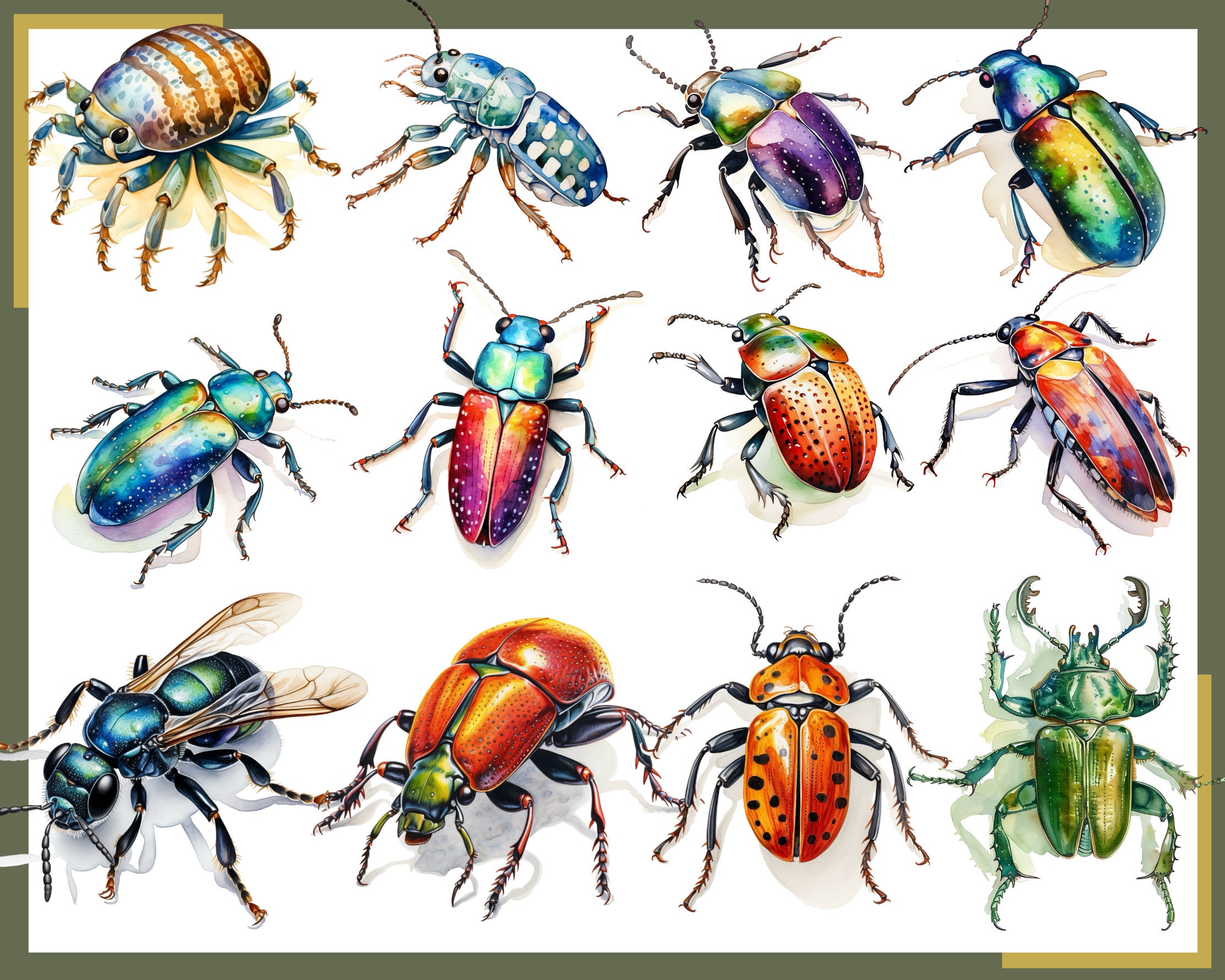 Watercolor Insect Clipart: 100 Bug Graphics (PNG) - Etsy