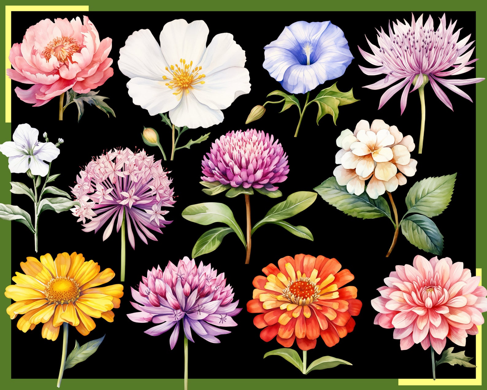 Summer Flowers: 120 PNG, 300 DPI Clipart Floral Garden Graphics ...