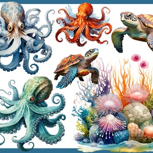 Sea Life Clip Art Bundle: 100 PNG Marine Animal Graphics (commercial ...