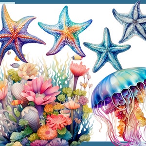 Sea Life: 100 PNG, 300 DPI Clipart Marine Animal Graphics (commercial ...