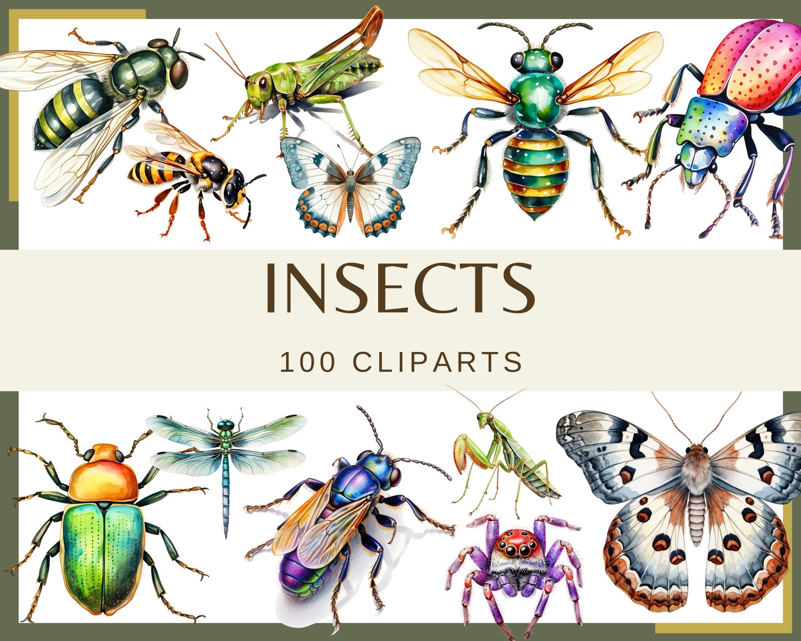 Watercolor Insect Clipart: 100 Bug Graphics (PNG) - Etsy