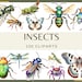 Realistic Bug Clipart Instant Download Watercolor Insects, Creepy ...