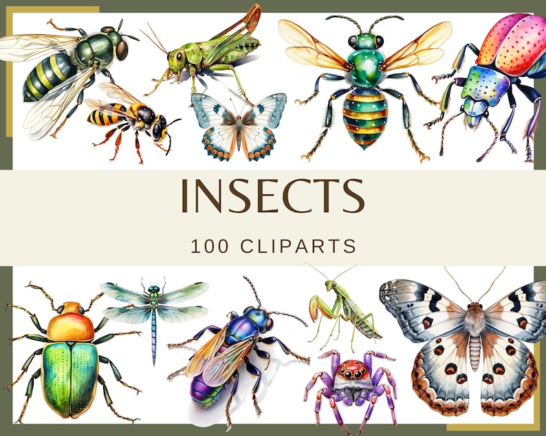 Watercolor Insect Clipart: 100 Bug Graphics (PNG) - Etsy