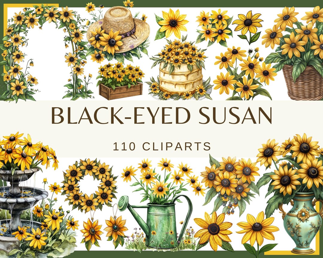 Black-eyed Susan Clipart: 110 PNG Floral Graphics (digital Download) - Etsy