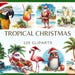 Tropical Christmas Clipart: Island Holiday PNG Graphics (120 Pc ...