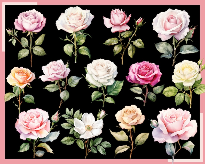 Rose Clipart Bundle: 110 Floral Pngs, Commercial Use - Etsy