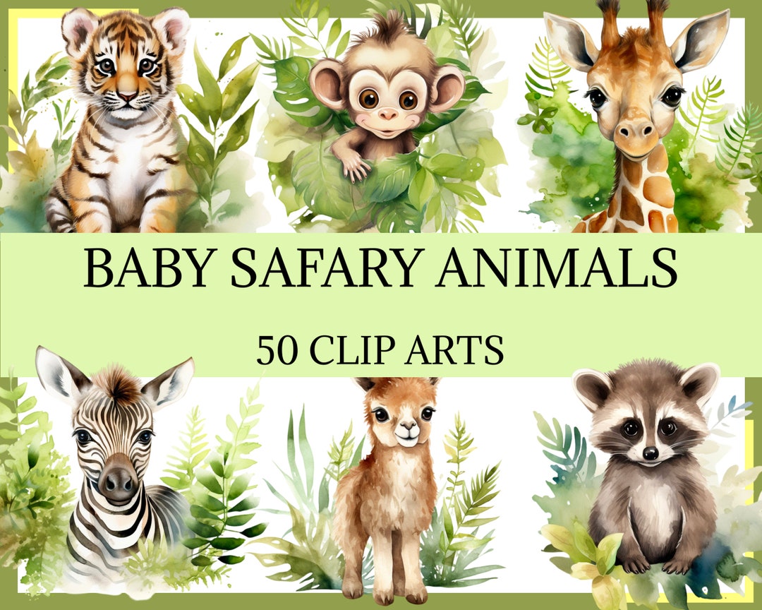 BABY SAFARI ANIMALS 50 Clip Arts 300 Dpi Transparent - Etsy