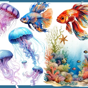 Sea Life: 100 PNG, 300 DPI Clipart Marine Animal Graphics (commercial ...