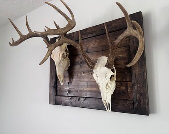 European Mount Composite Driftwood Plaque - Etsy