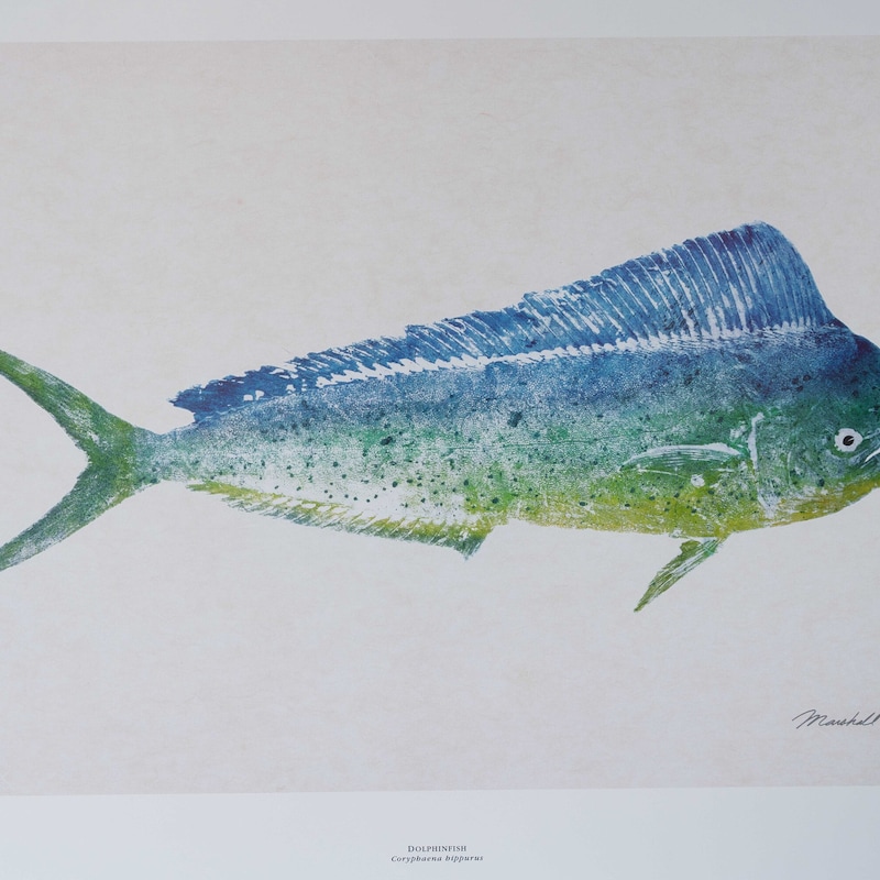 Gyotaku - Etsy