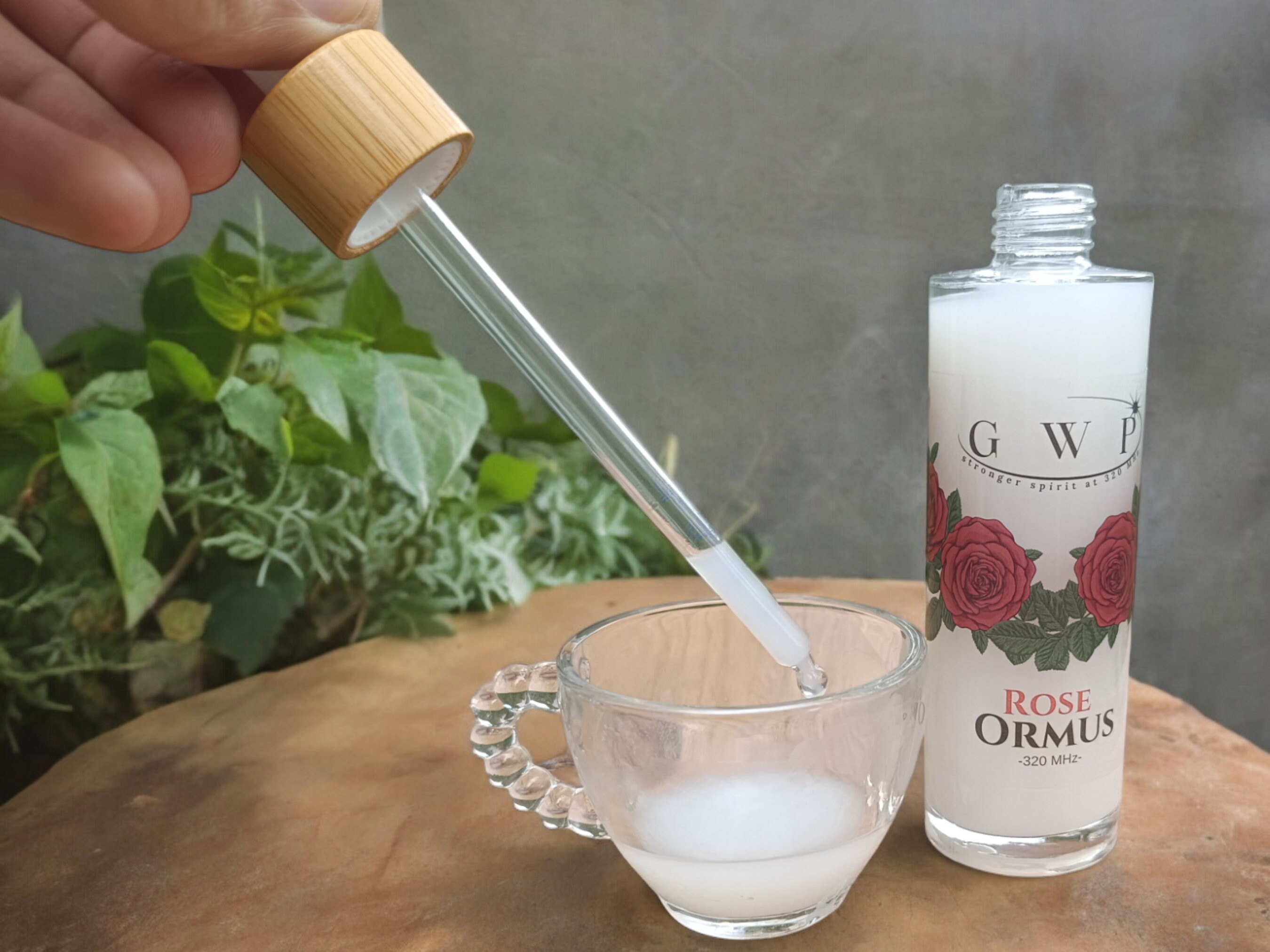 Rose-infused Ormus Manna: Pineal & Chakra Activation, Meditation, Lucid ...