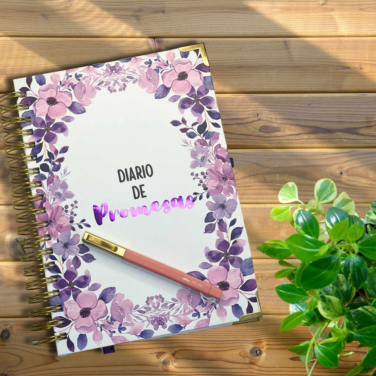 Cuaderno De Estudio Bíblico Para Mujeres Cristianas Regalo Diario De Promesas De Dios Special ...