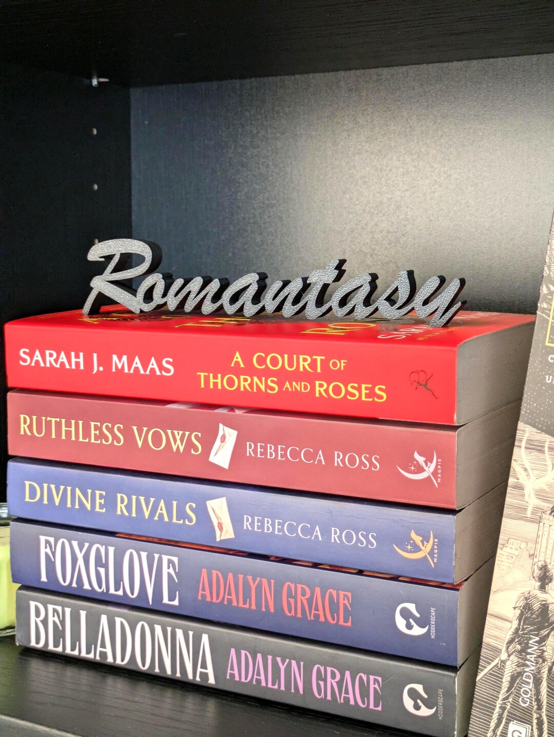 Romantasy 3D Lettering Bookshelf Decor/bookish Decor Gift for Romantasy ...