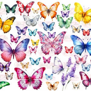 Botanical Butterfly Clipart, Watercolor Butterflies Bundle Colorful ...