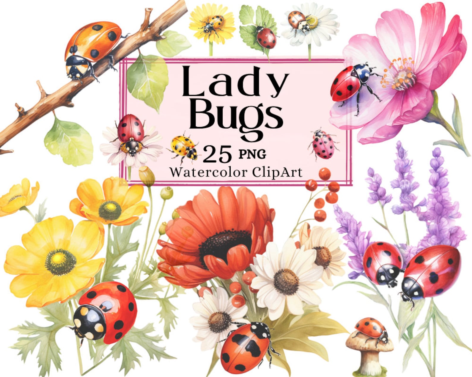 Watercolor Ladybug Clipart Bundle, Floral Cute Lady Bugs Decorative ...