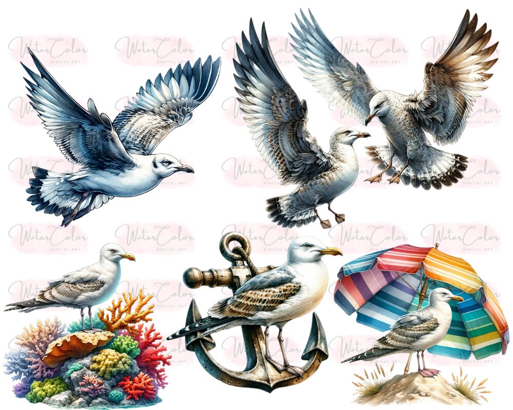 Watercolor Seagulls Clipart Bundle - Pirate Hat Seagull, Nautical Bird ...