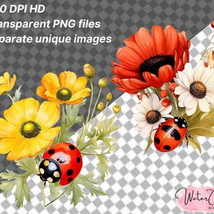 Watercolor Ladybug Clipart Bundle, Floral Cute Lady Bugs Decorative ...