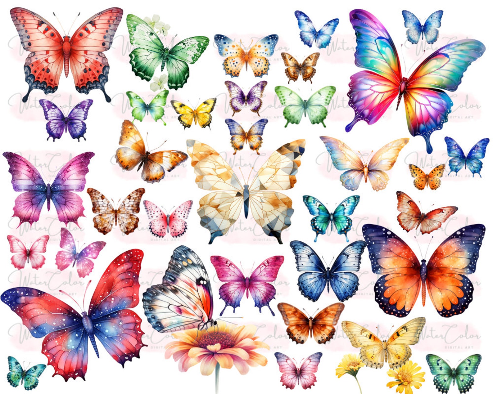 Botanical Butterfly Clipart, Watercolor Butterflies Bundle Colorful ...