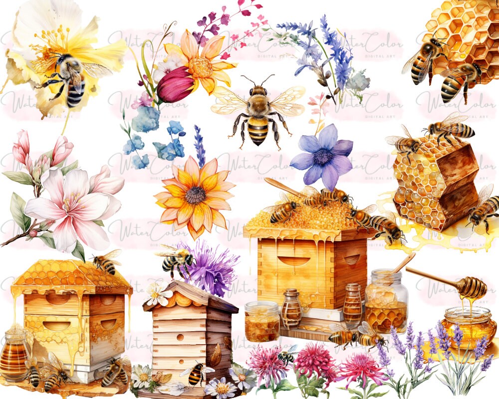 Honey Bee Watercolor Clipart, Behive Honey Spoon Drips Jar, Floral ...