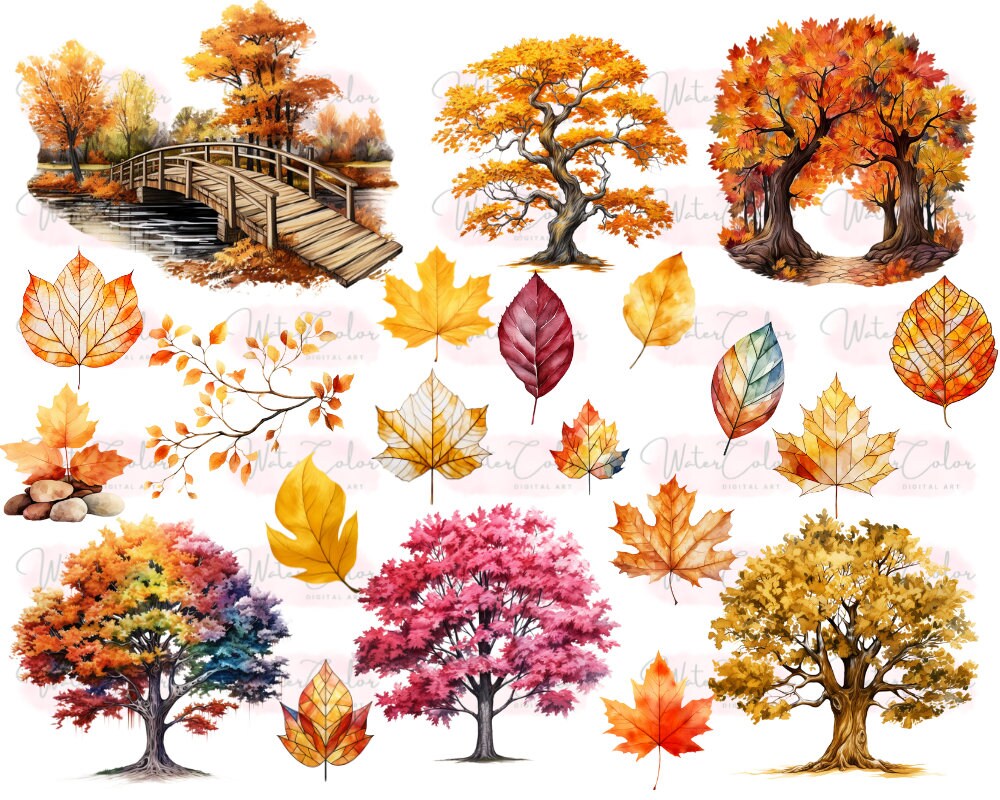Watercolor Autumn Forest Clipart, Fall Trees Falling Leaves, Maple Leaf ...