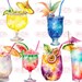 Tropical Cocktails Watercolor Clipart, Summer Drink Palm Leave Exotic ...