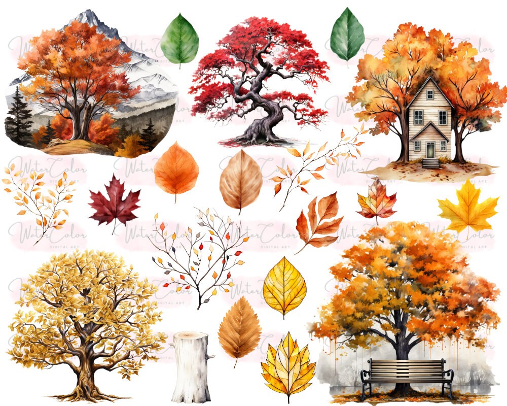 Watercolor Autumn Forest Clipart, Fall Trees Falling Leaves, Maple Leaf ...
