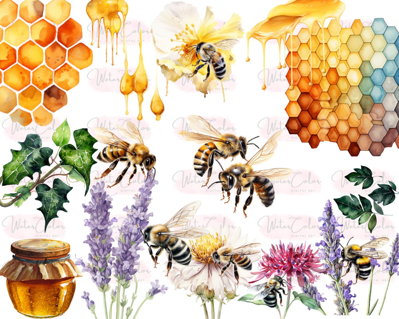 Honey Bee Watercolor Clipart Behive Honey Spoon Drips Jar - Etsy