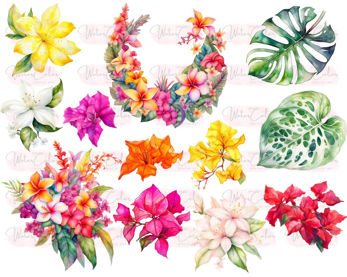 Tropical Flowers Watercolor Clipart,exotic Flower Hibiscus, Summer ...
