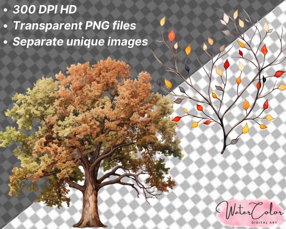 Watercolor Autumn Forest Clipart, Fall Trees Falling Leaves, Maple Leaf ...