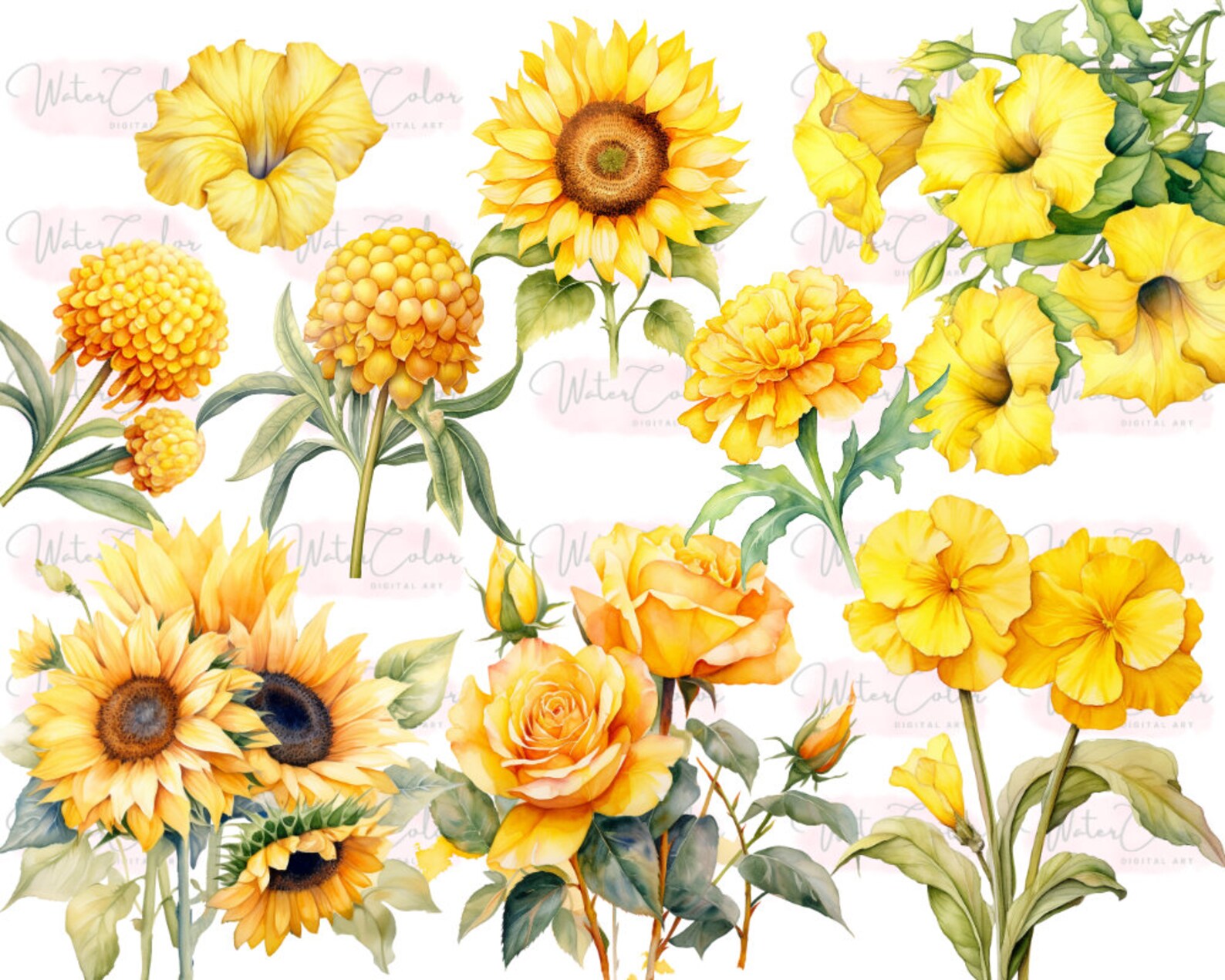 Watercolor Yellow Flowers Sunflower Clipart, Summer Flowers, Floral ...