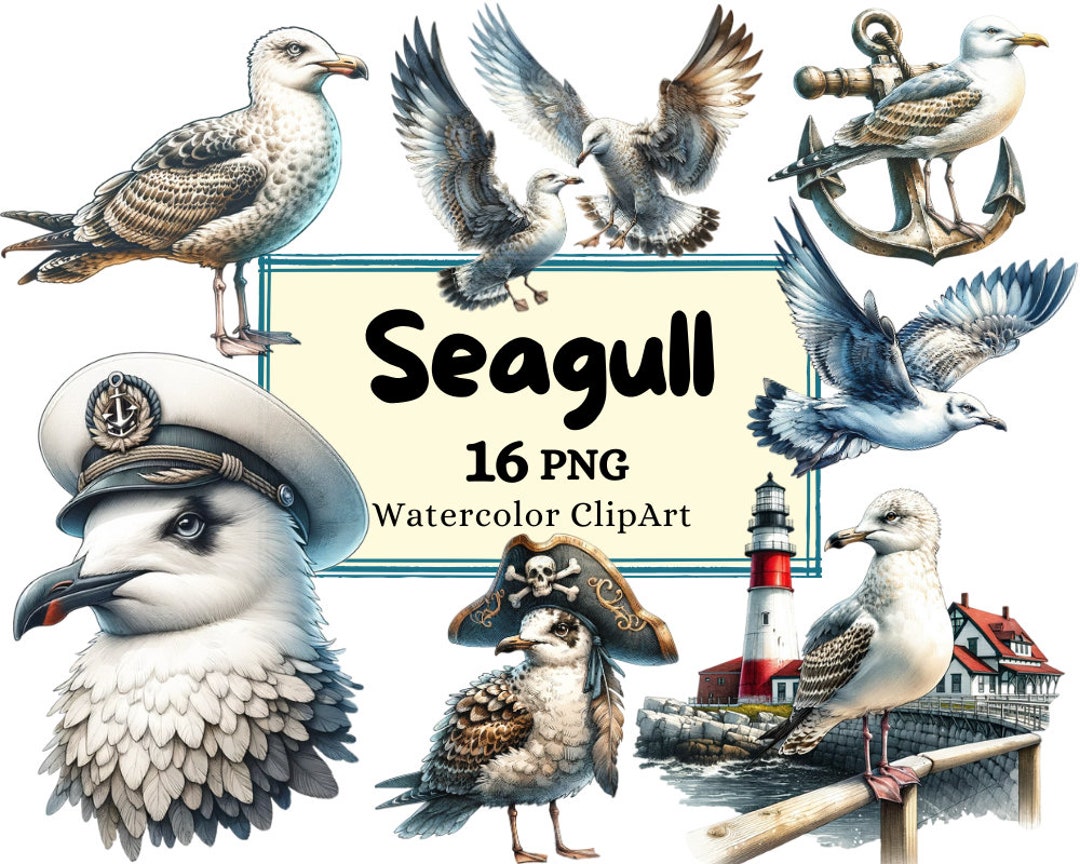 Watercolor Seagulls Clipart Bundle - Pirate Hat Seagull, Nautical Bird ...