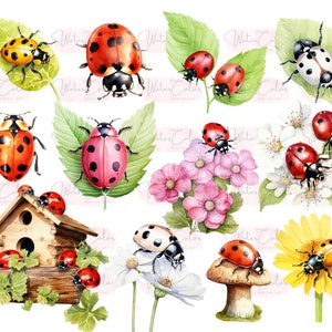 Watercolor Ladybug Clipart Bundle, Floral Cute Lady Bugs Decorative ...