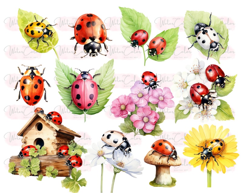 Watercolor Ladybug Clipart Bundle, Floral Cute Lady Bugs Decorative ...