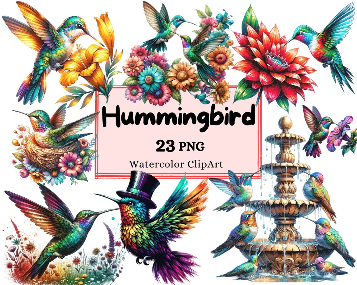 Vibrant Watercolor Hummingbird Clipart Bundle, 23 Colorful Bird Pngs ...