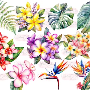 Tropical Flowers Watercolor Clipart,exotic Flower Hibiscus, Summer ...