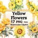 Watercolor Yellow Flowers Sunflower Clipart, Summer Flowers, Floral ...