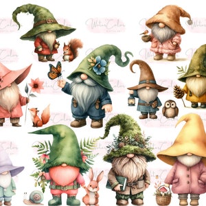 Watercolor Nature Gnome Clipart Collection, Forest Animals Gnomes ...