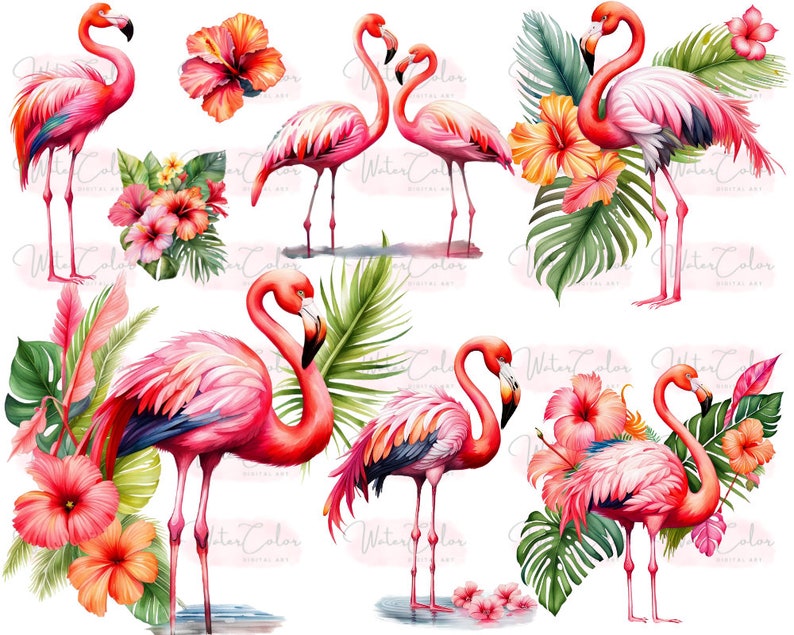 Flamingo Clipart Watercolor Pink Flamingos Summer Clip Art - Etsy