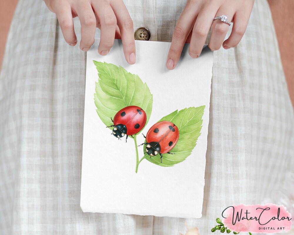 Watercolor Ladybug Clipart Bundle, Floral Cute Lady Bugs Decorative ...