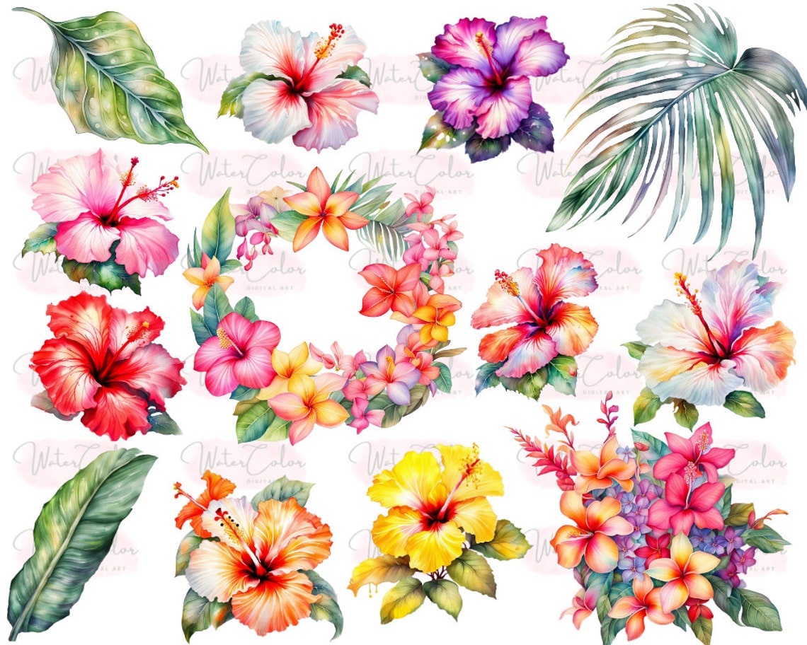 Tropical Flowers Watercolor Clipart,exotic Flower Hibiscus, Summer ...