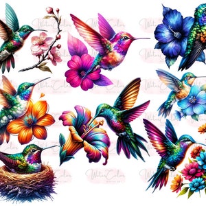 Vibrant Watercolor Hummingbird Clipart Bundle, 23 Colorful Bird Pngs ...