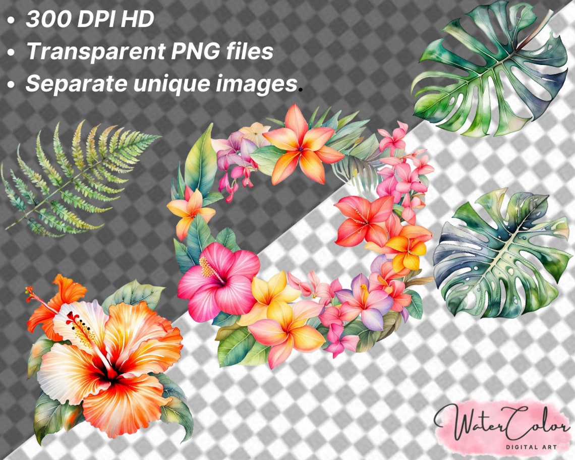 Tropical Flowers Watercolor Clipart,exotic Flower Hibiscus, Summer ...
