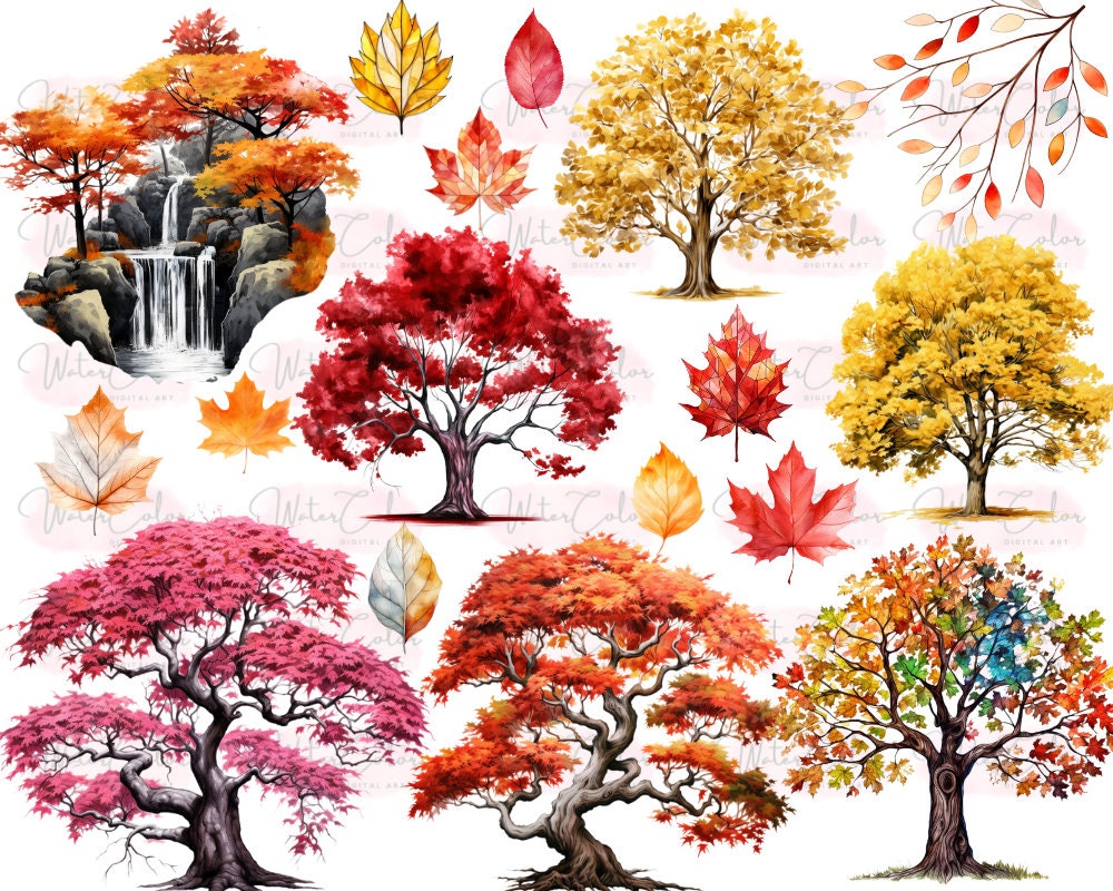 Watercolor Autumn Forest Clipart, Fall Trees Falling Leaves, Maple Leaf ...