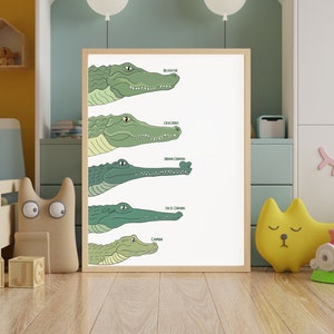 Type of Crocodiles Alligators Poster Kids Printable Jungle Poster Type ...
